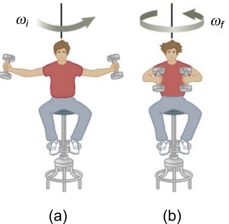 A student sits on a freely rotating stool holding two dumbbells, each ...