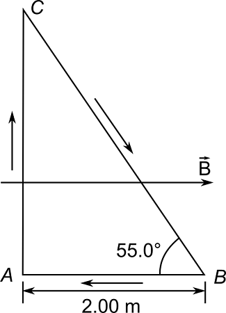 The triangular loop of wire shown in the drawing carries a current of I ...