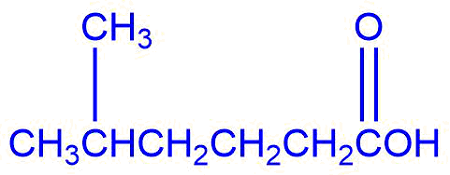 What alkyl halide is needed to prepare the depicted compound by a ...