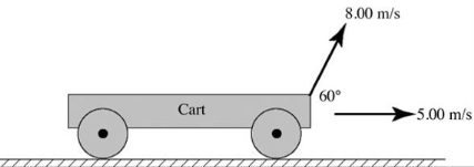 A cart is moving with a constant horizontal velocity of 5.00 m/s. A ...