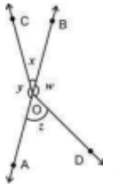 In the figure, if x+y = w+z, then prove that AOB is a line. | Homework.Study.com