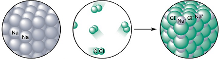 Examine the following chemical reaction and identify and label as many ...