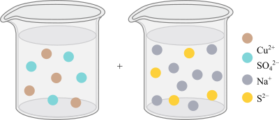 Write the balanced molecular and net ionic equations for the reaction ...