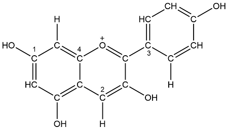 Pelargonidin is the molecule responsible for the red color of the ...