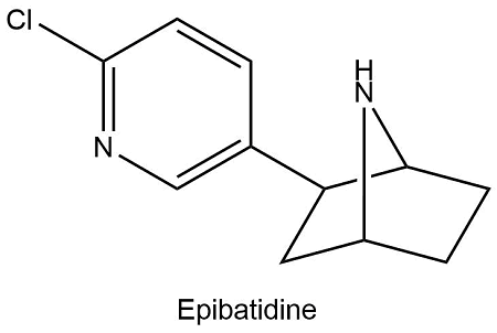 Epibatidine, a colorless oil isolated from the skin of the Ecuadorian ...