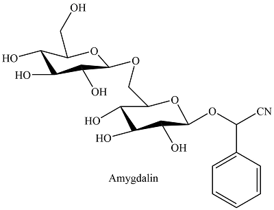 Amygdalin is a toxic component found in the pits of peaches, bitter ...