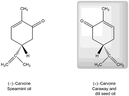Following are the structural formulas for the enantiomers of carvone ...