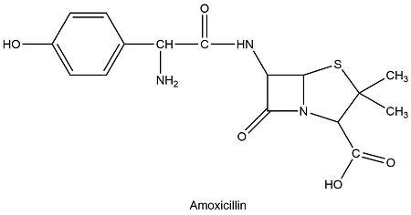 Label the four chiral centers in amoxicillin, which belongs to the ...