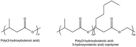 Poly(3-hydroxybutanoic acid) is a biodegradable polyester that is ...
