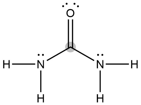 Select the atoms that can form a hydrogen bond with a positively ...