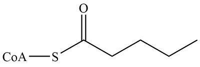 Label alpha and beta carbon atoms in the following molecule. | Homework ...