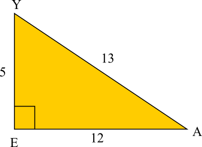 Find the measure of angle Y. | Homework.Study.com