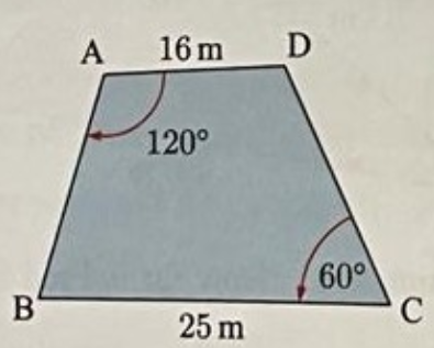 The quadrilateral ABCD represents David's garden plot. AD = 16 m, BC ...