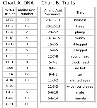 In this assignment, you will examine the DNA sequence of a hypothetical ...