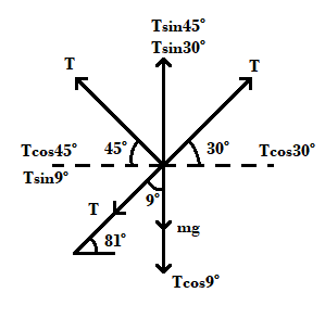 An orb-weaver spider sits in her web that is supported by three radial ...