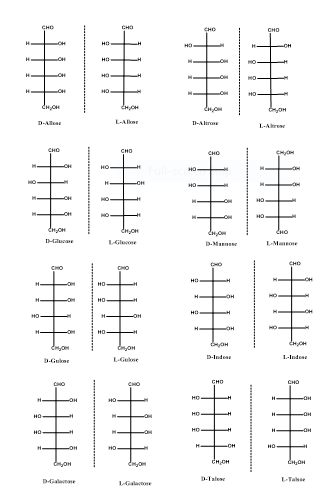 Which of the eight D aldohexoses give the same aldaric acids as their L ...
