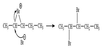Draw the reaction mechanism for CH_3CH=CHCH_2CH_3 + Br_2 equals CH ...