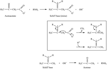 Describe the five types of catalytic mechanisms, recognize them in a ...