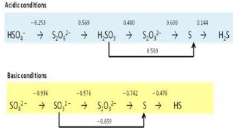 Use the Latimer diagram given below to answer the following questions ...