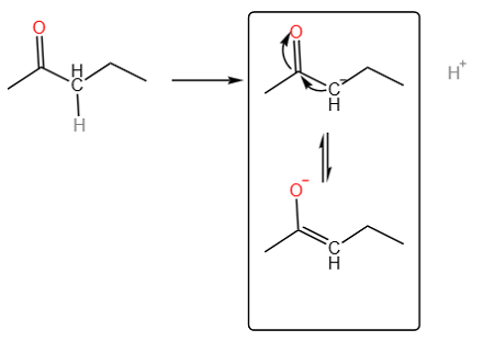 Which C-H bonds in the following molecules are acidic because the ...