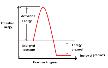 A reaction has an activation Energy of 20 kJ and E = -60 kJ/mol. What ...