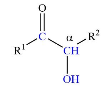 Briefly define the following terms: (a) Acyloin (b) Enzyme (c) Coenzyme ...