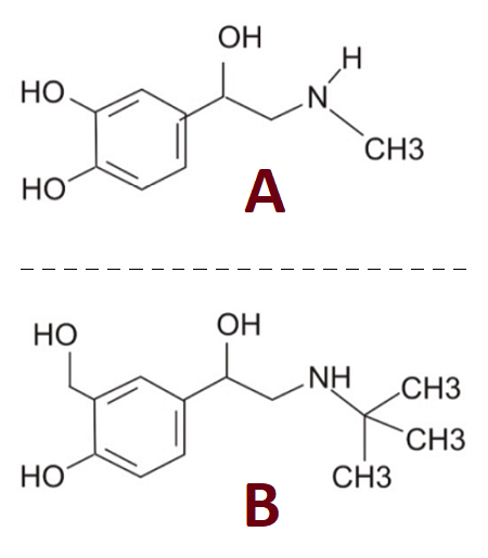 Agonist A and Agonist B get 100 units and 60 units response ...