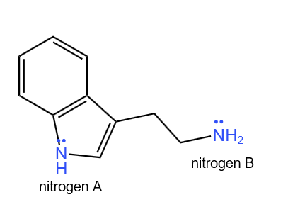 Which nitrogen atom in the alkaloid tryptamine is more basic? Explain ...