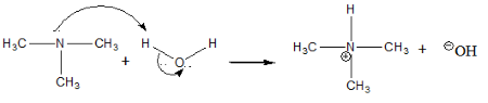 What is(are) the major product(s) from the organic reaction above ...