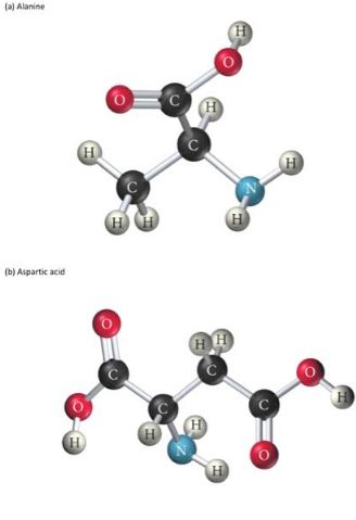 Consider the structure of the amino acid as shown below Indicate the ...