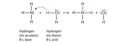 What is the chemical reaction happening in the NH3 beaker? | Homework ...