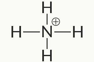 Does NH4+ have delocalized electrons? | Homework.Study.com