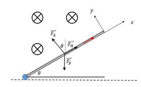 A long, thin rod of uniform density has a length L and a mass density ...