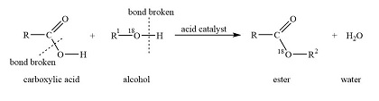 When alkanols react with alkanoic acid, what is the product? | Homework ...