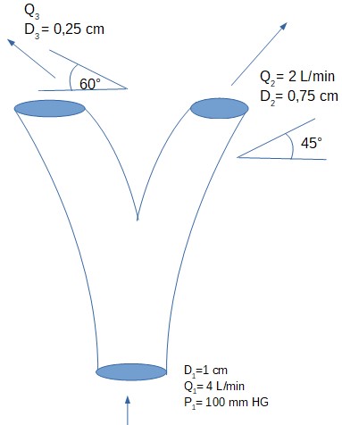 The branching of a blood vessel is shown. Blood at a pressure of 100 mm ...
