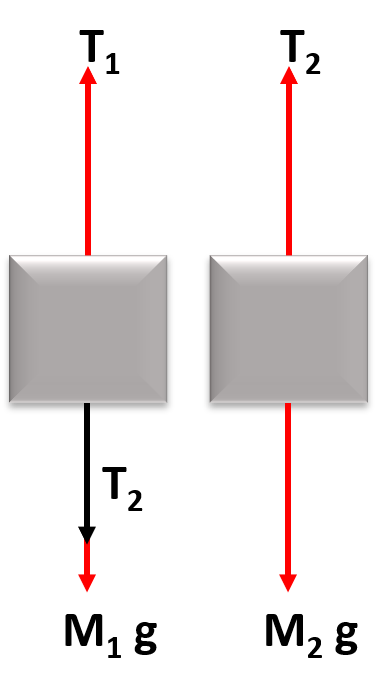 Assume the acceleration is zero. Determine the value of T1 and T2 ...