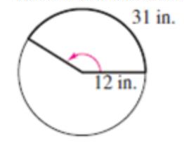 Find the measure of the angle in the image (in radians) | Homework ...