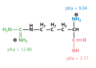 a) At pH 11, is the side chain of arginine mostly protonated or ...