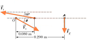 The arm in the figure below weighs 35.0 N. The force of gravity acting ...