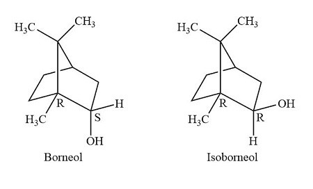 Are borneol and isoborneol related as structural isomers, enantiomers ...