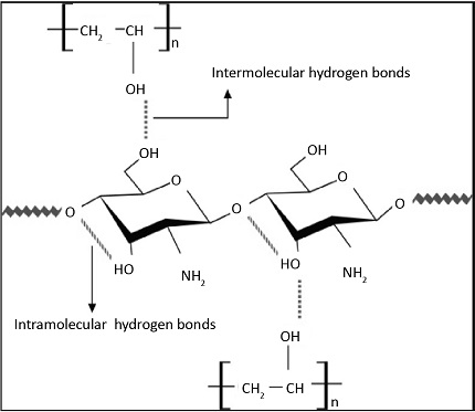 PVA (polyvinyl alcohol) strands can form hydrogen bonds between ...
