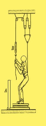 A student of statics wishes to weigh himself, but has access only to a ...