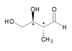 Circle the chiral carbon(s) in the molecules shown below. | Homework ...