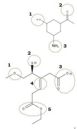 Identify the functional groups in the following molecules: | Homework ...