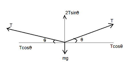 A bird has a mass of 26.0 g and perches in the middle of a stretched ...
