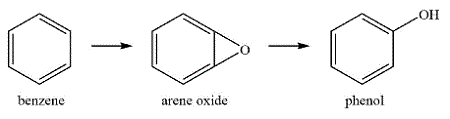 Hydrocarbons like benzene are metabolized in the body to arene oxides ...
