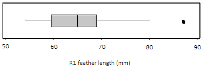Researchers measured the length of the central retrix (R1), a flight ...