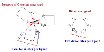 In the compound [Fe(H_2NCH_2CH_2NH_2)_3]^{2+}, the ligand is: A ...