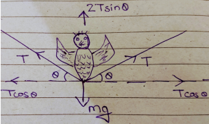 A heavy bird sits on a clothesline. Will the tension in the clothesline ...