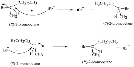 (R)-2-Bromooctane undergoes racemization to give (plus or minus)-2 ...